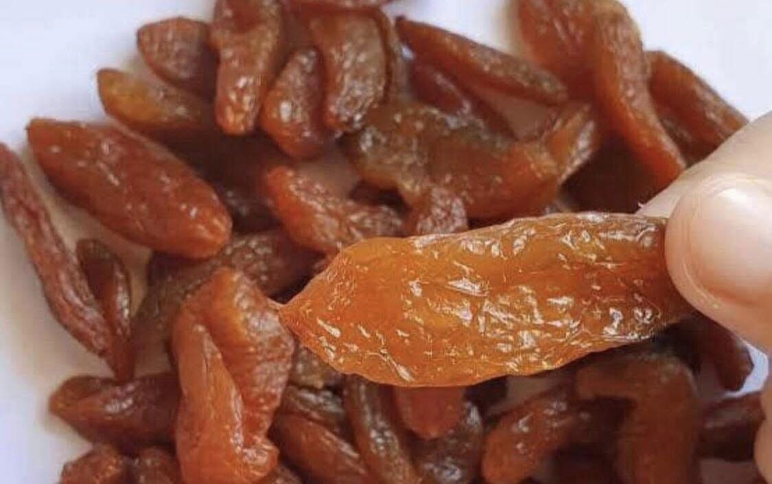 Sarisa Fruits Plants