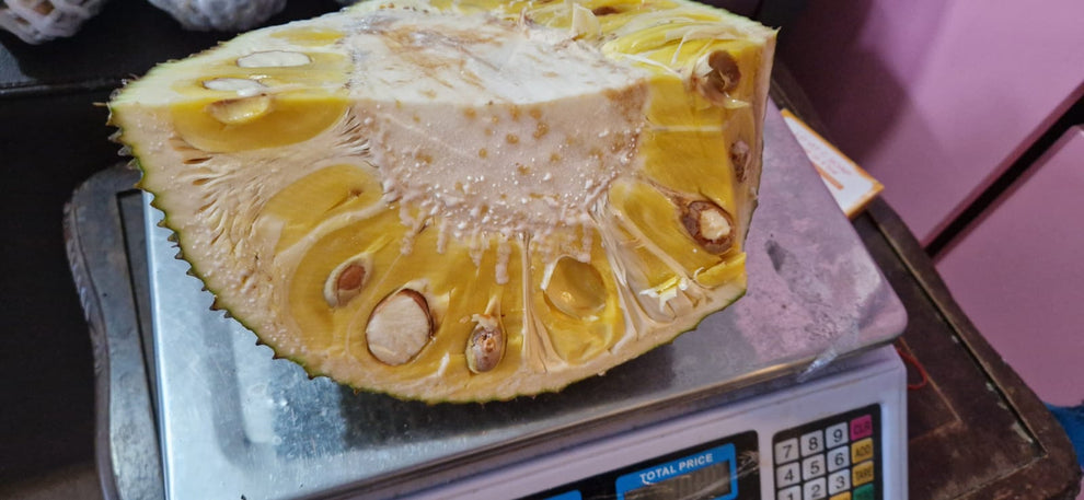 Jackfruit – Sarisa Fruits Plants